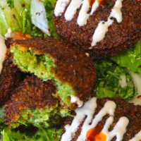 DUNYA fresh halal food: Authentic Flavors of Middle Eastern Cuisine in ...